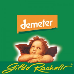 Gildo Rachelli Bio | Gelati | Bioimita